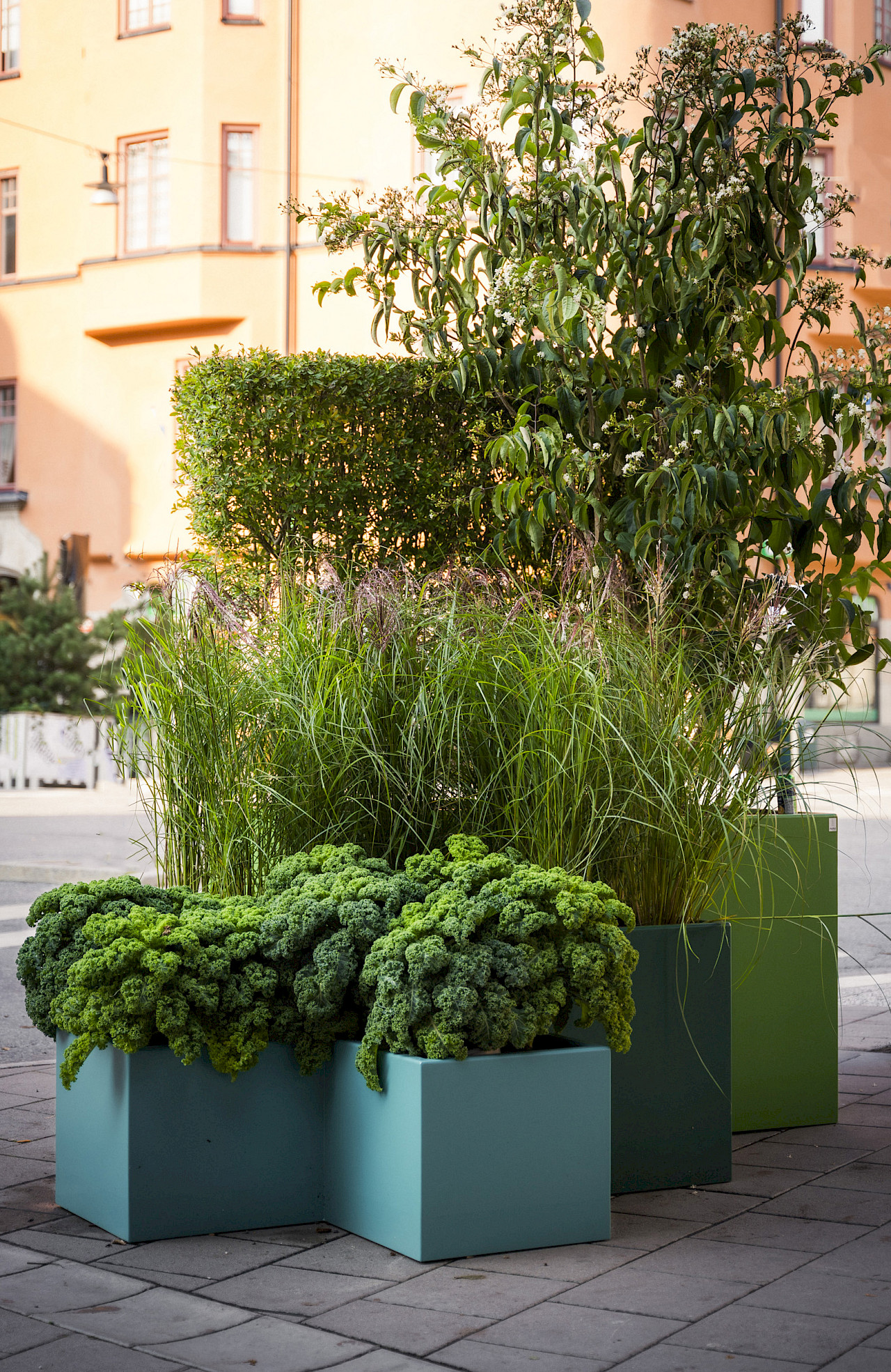 Angle Planter | Nola®