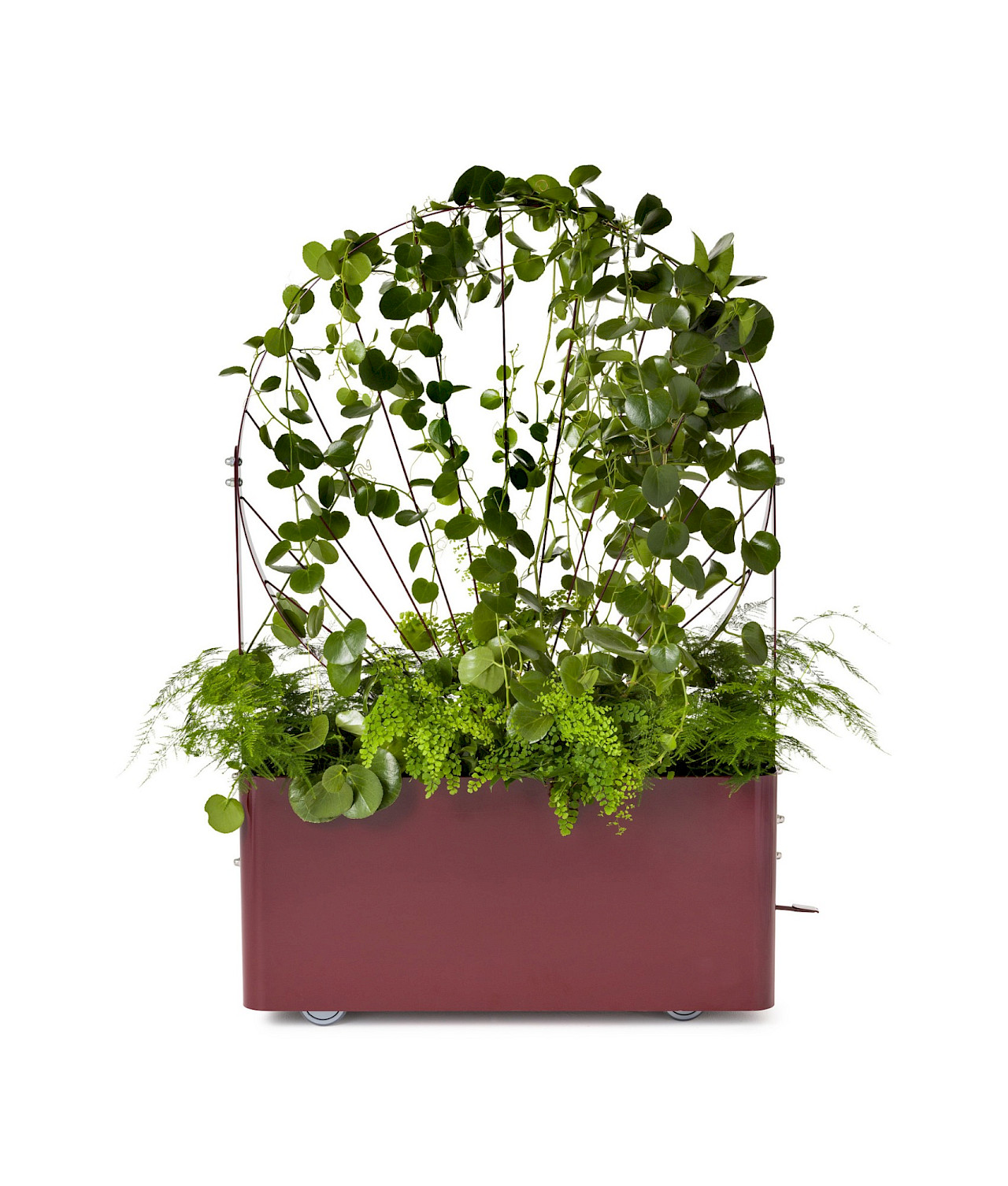 Produkter för plantering | Nola®