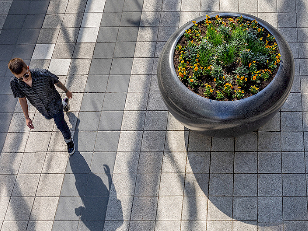 Produkter för plantering | Nola®