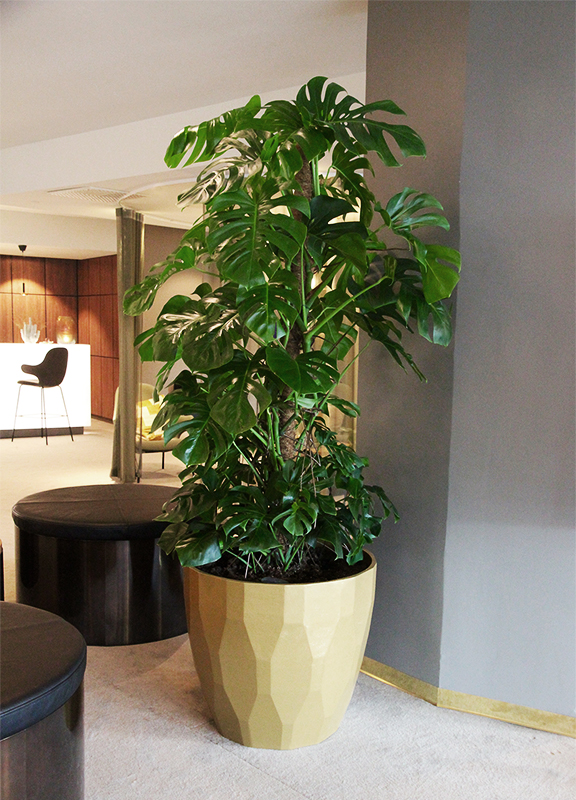 Arabesque Planter | Nola®