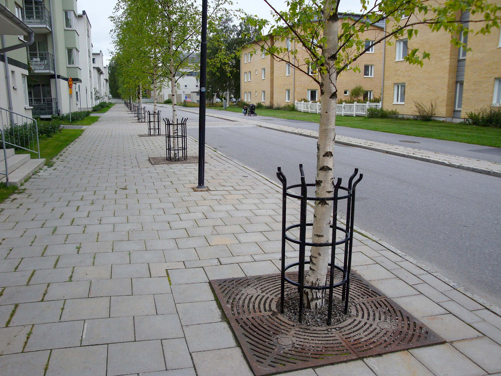 Tree Grilles & Grates | Nola®