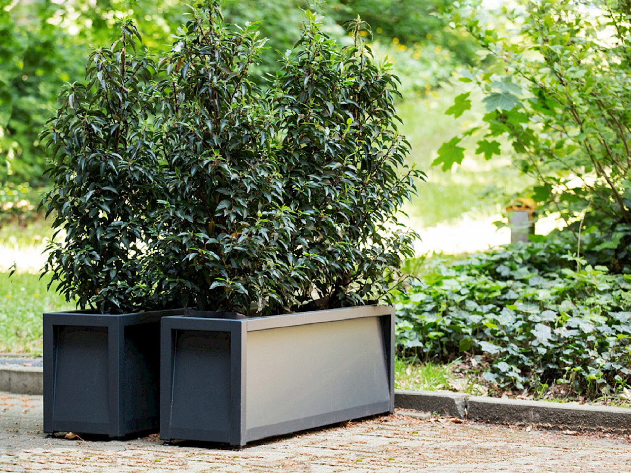 Frame planters | Nola®